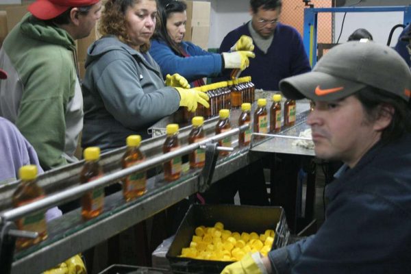 Capasa habilitó un museo de la caña y genera puestos de trabajo ...