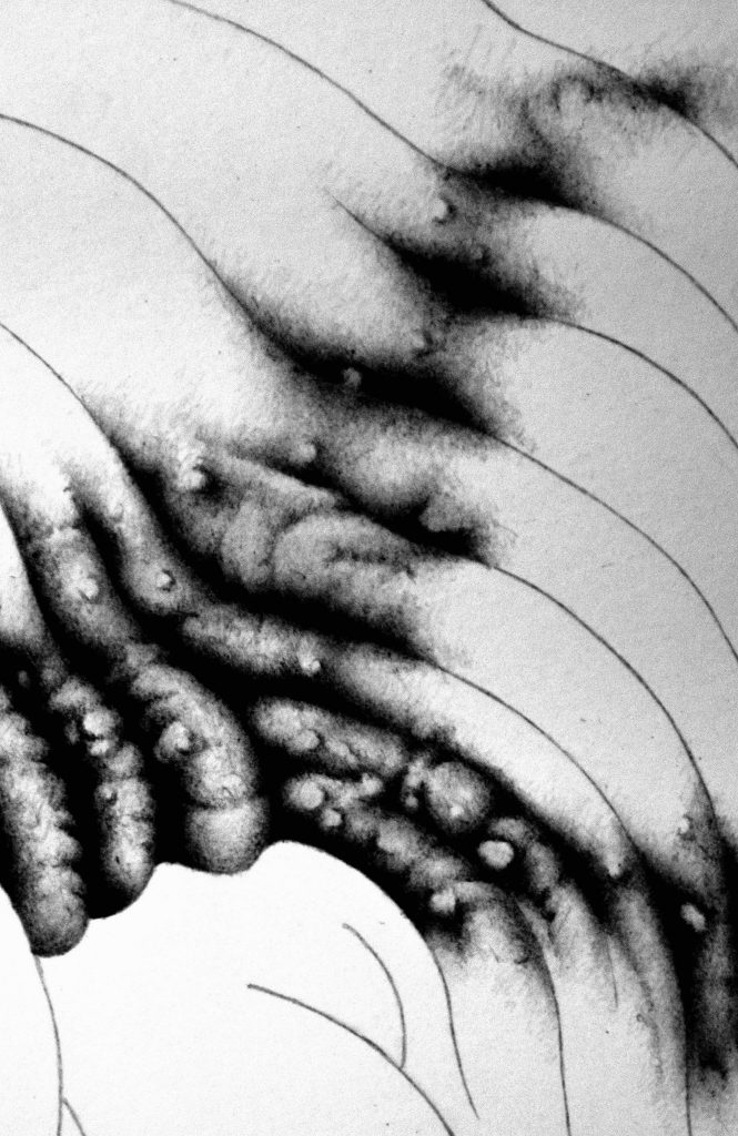 Obras recientes de Sara Hooper en el Museo del Barro - .::Agencia IP::.